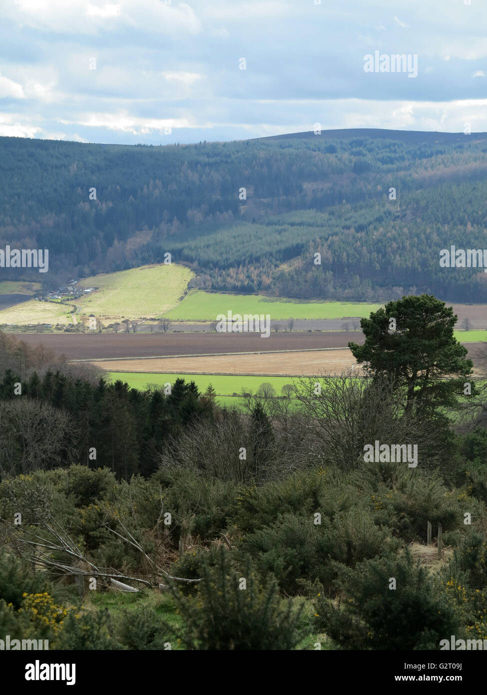 Countryside trail between Barmekin Hill and B977 road after the rain in ...
