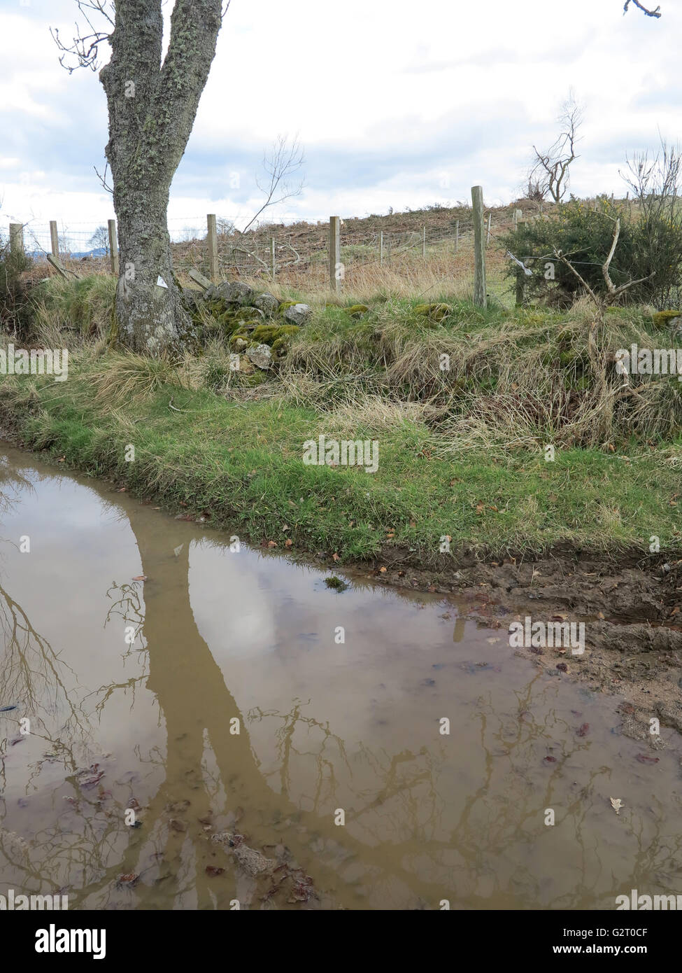 Countryside trail between Barmekin Hill and B977 road after the rain in ...