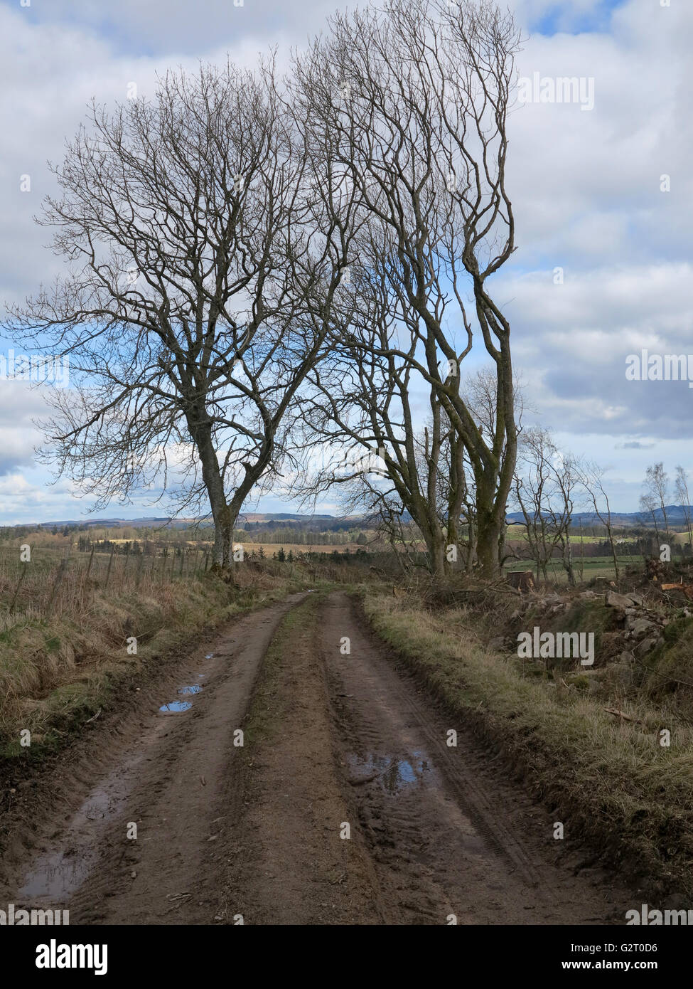 Countryside trail between Barmekin Hill and B977 road after the rain in ...