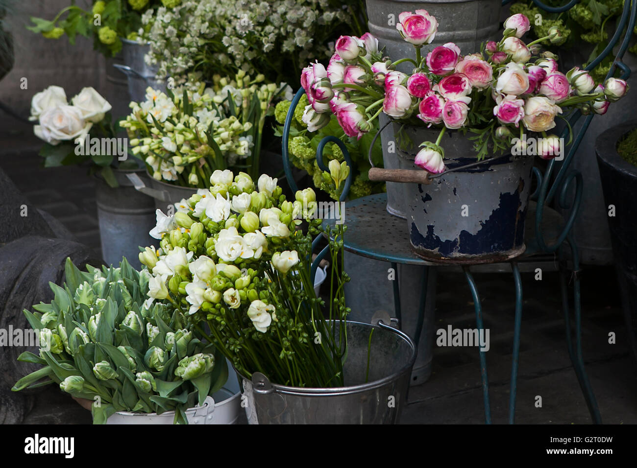 Bouquet of pink ranunculus and white freesia Stock Photo - Alamy