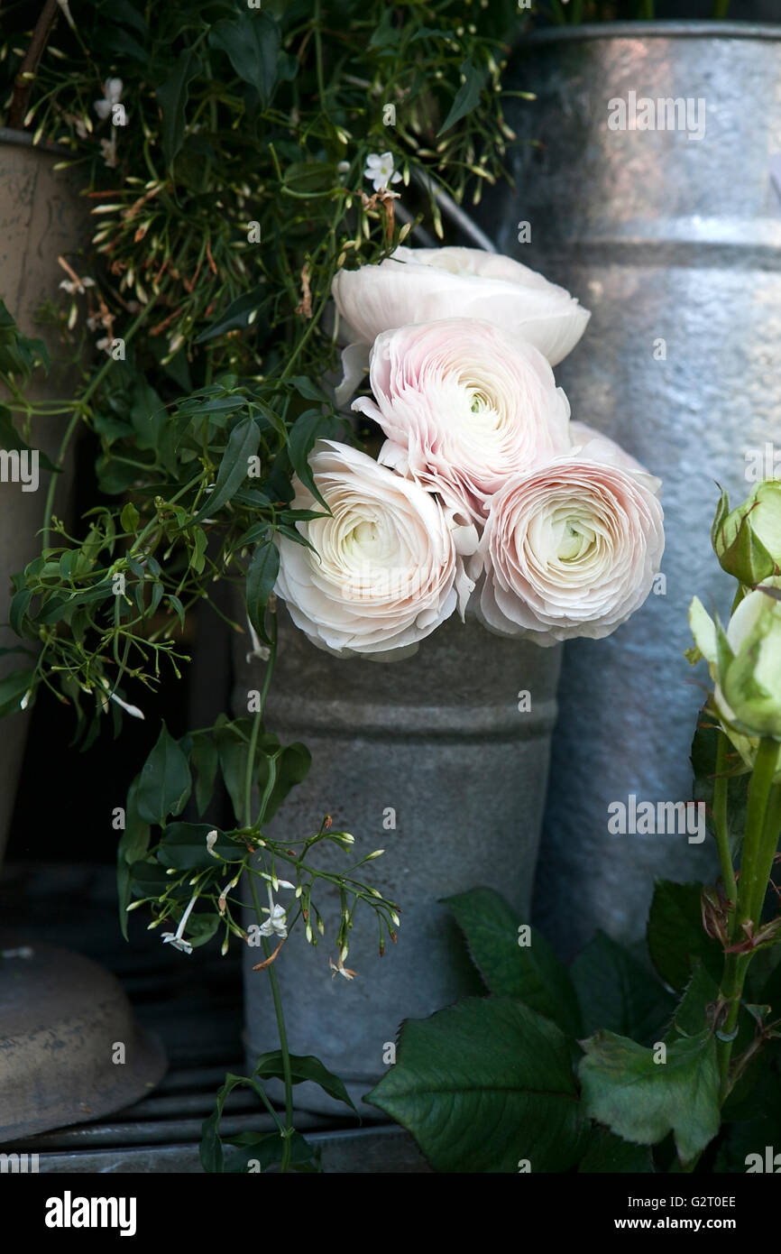 Spring bouquet with ranunculus Stock Photo - Alamy