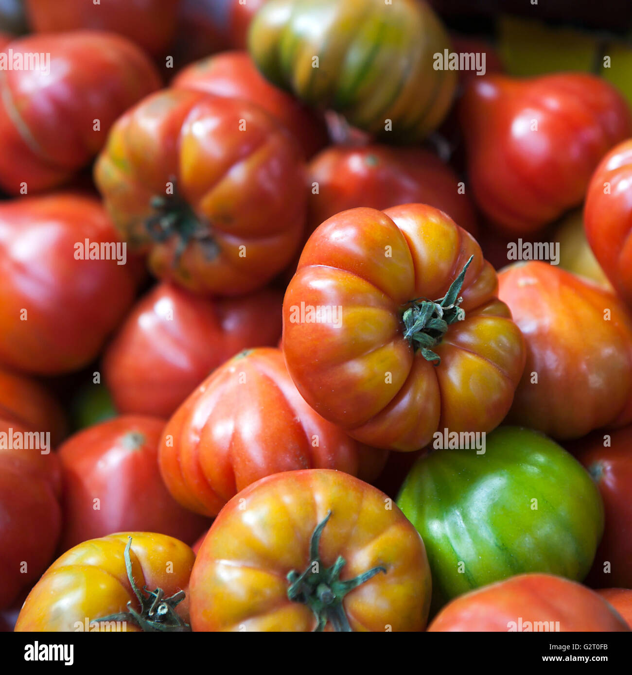 Bull heart tomato hi-res stock photography and images - Alamy