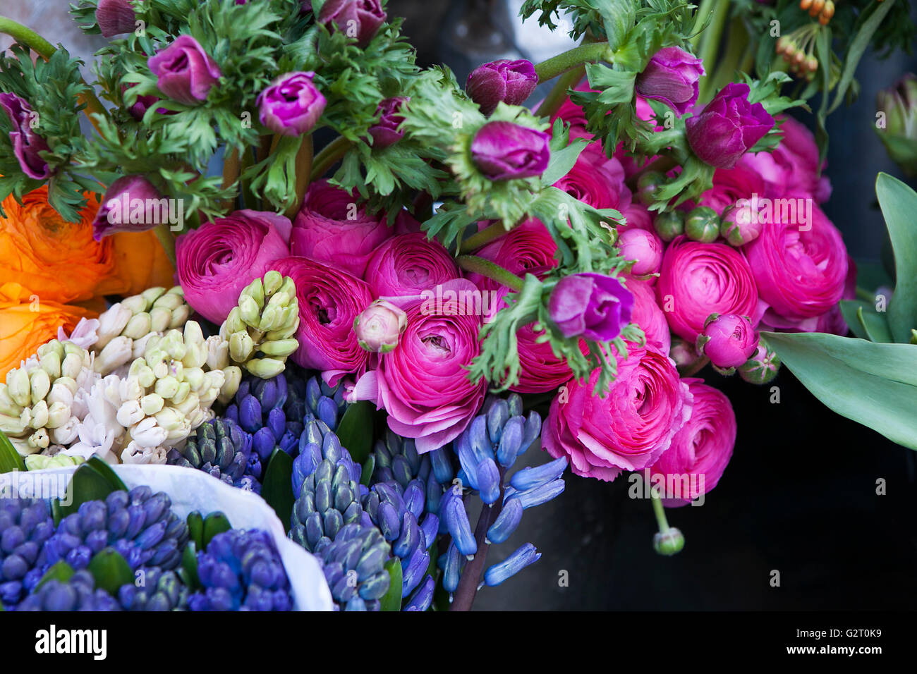 Campanula ranunculus hi-res stock photography and images - Alamy