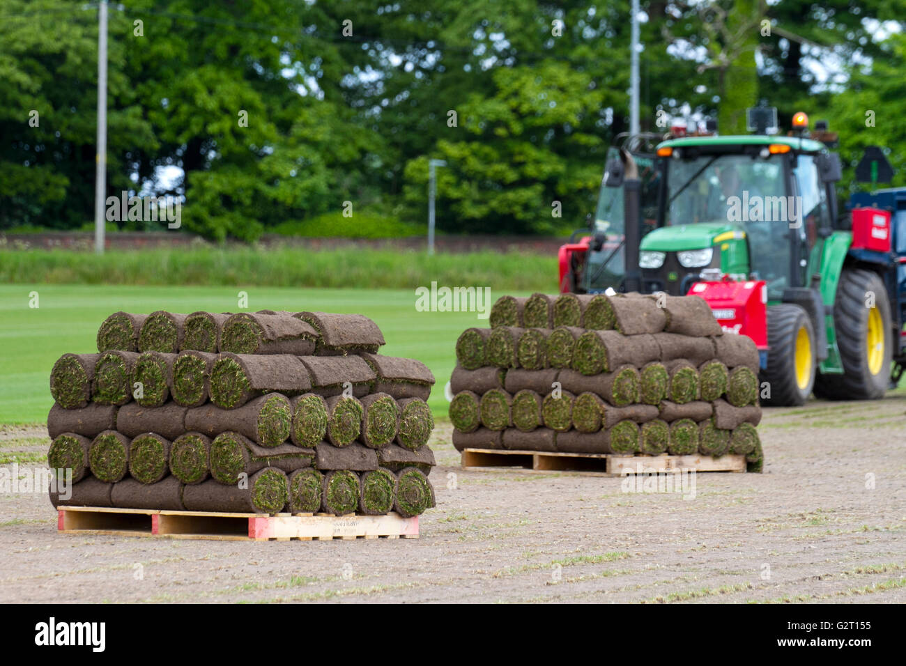 Turf growing in Burscough, Lancashire Stock Photo - Alamy