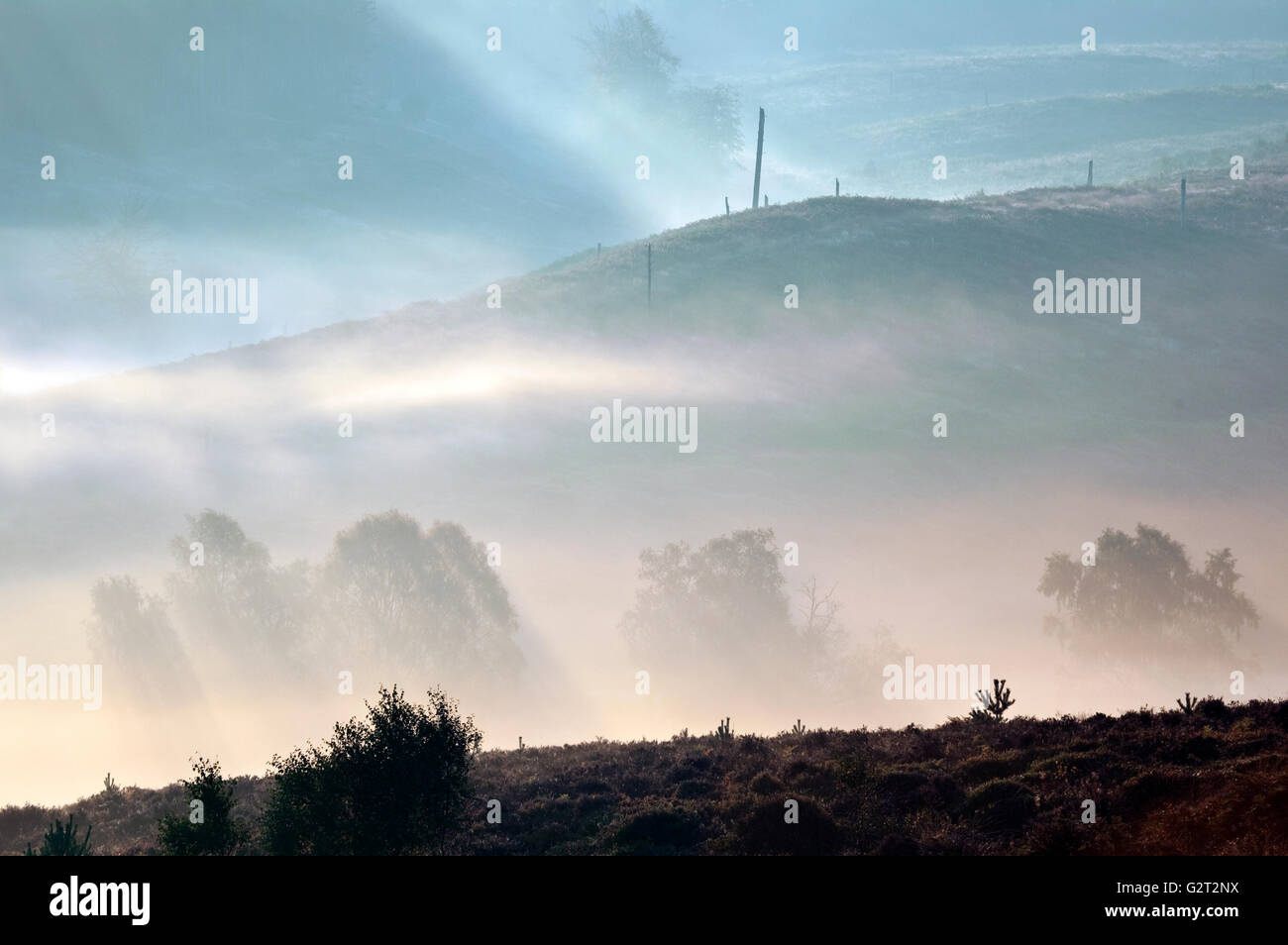 Mists on the slopes of the rolling hills above Sherbrook valley in ...