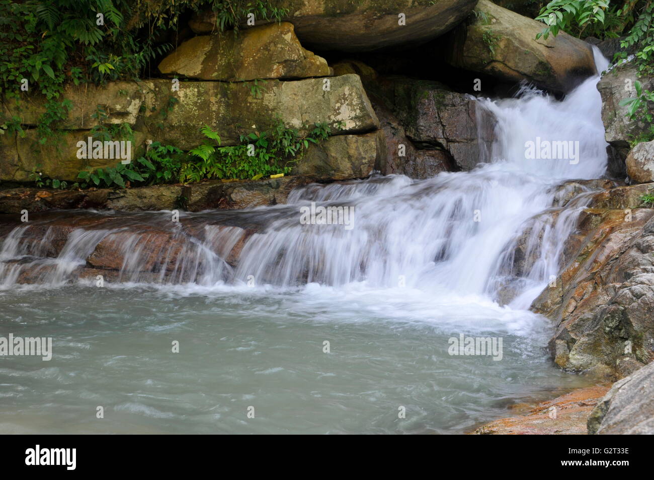 Pond and Waterfall in the Watershed of Penang, Malaysia Stock Photo - Alamy