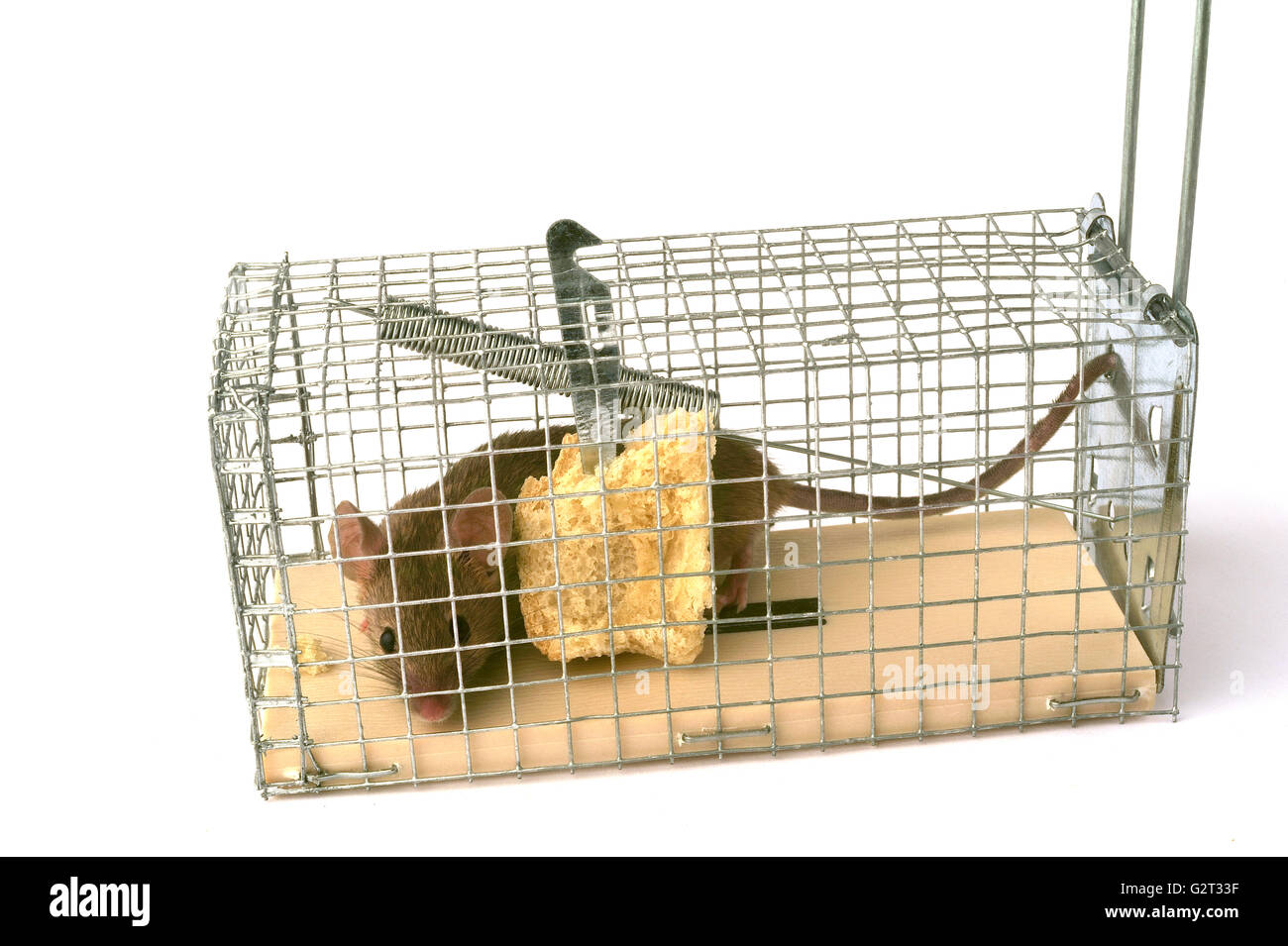 Mouse control hi-res stock photography and images - Alamy