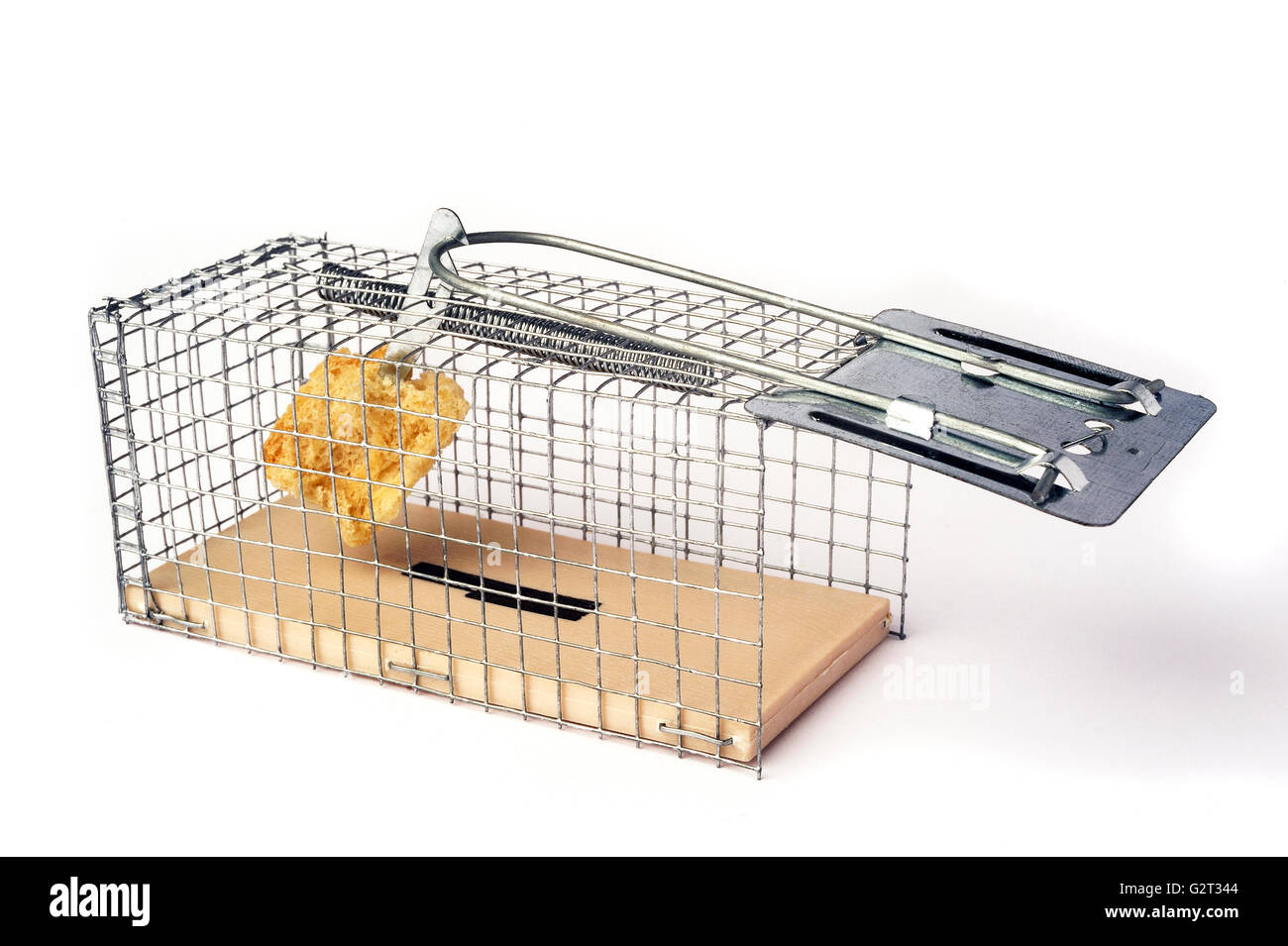 Scoop or mouse trap with a mouse trapped with a piece of bread Stock ...