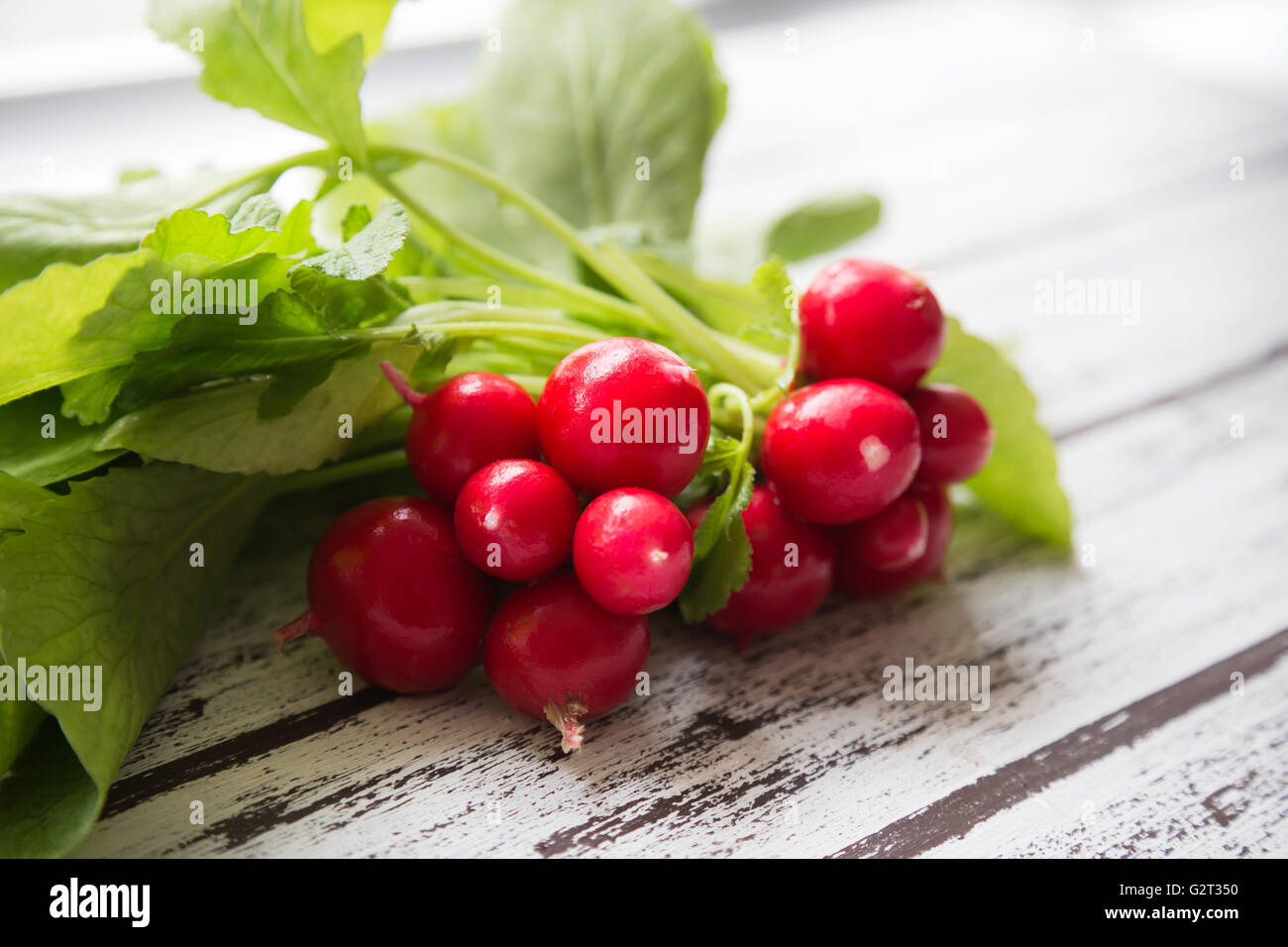 Turnip people hi-res stock photography and images - Alamy