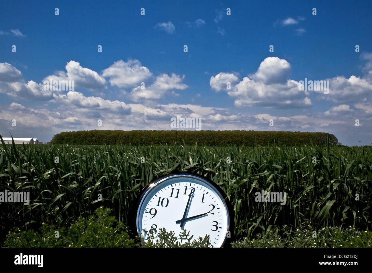 Horizontal front view of a big wall clock in a green field with blue ...