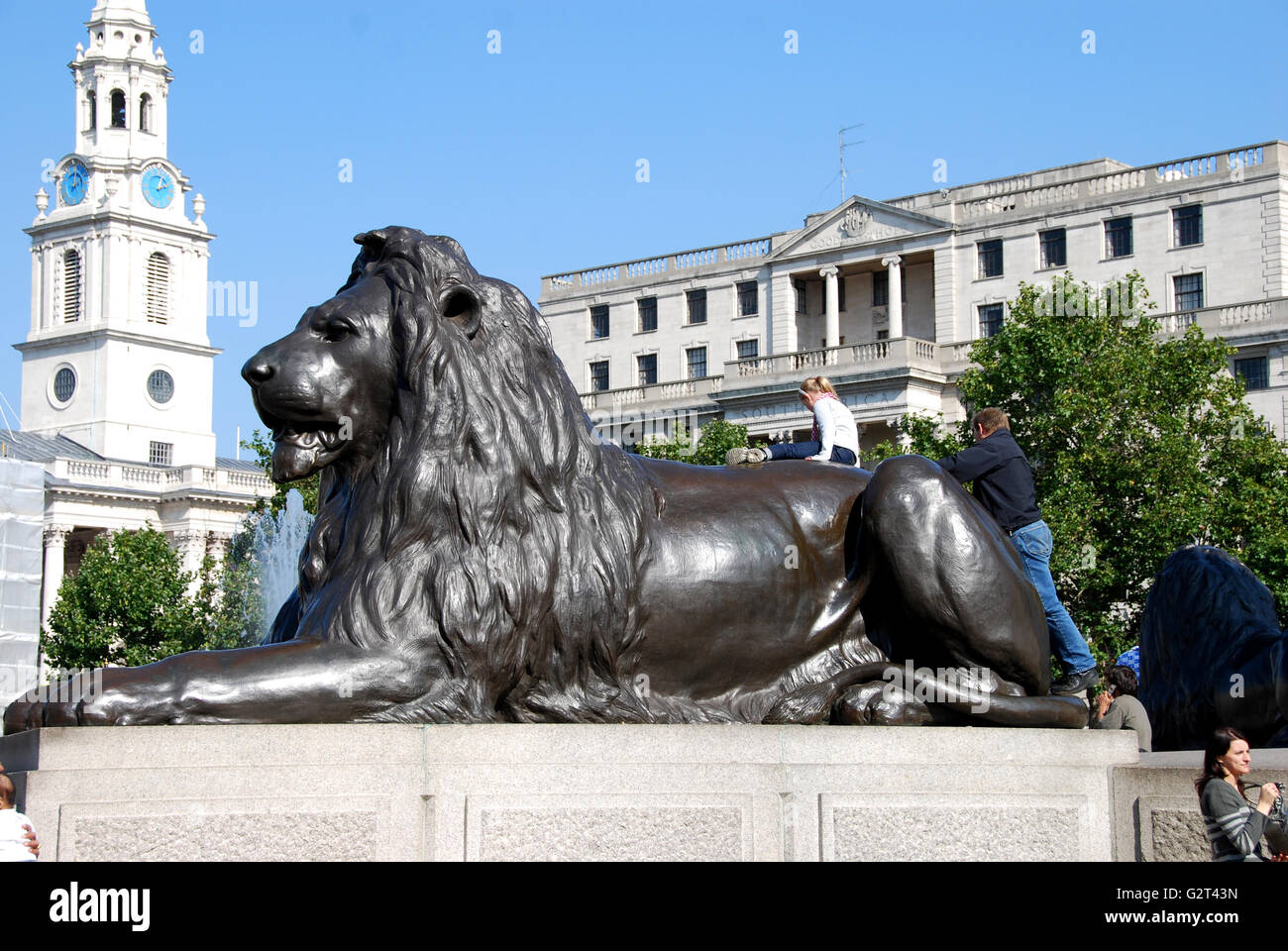 LONDON TRAFALGAR SQUARE LION Stock Photo - Alamy