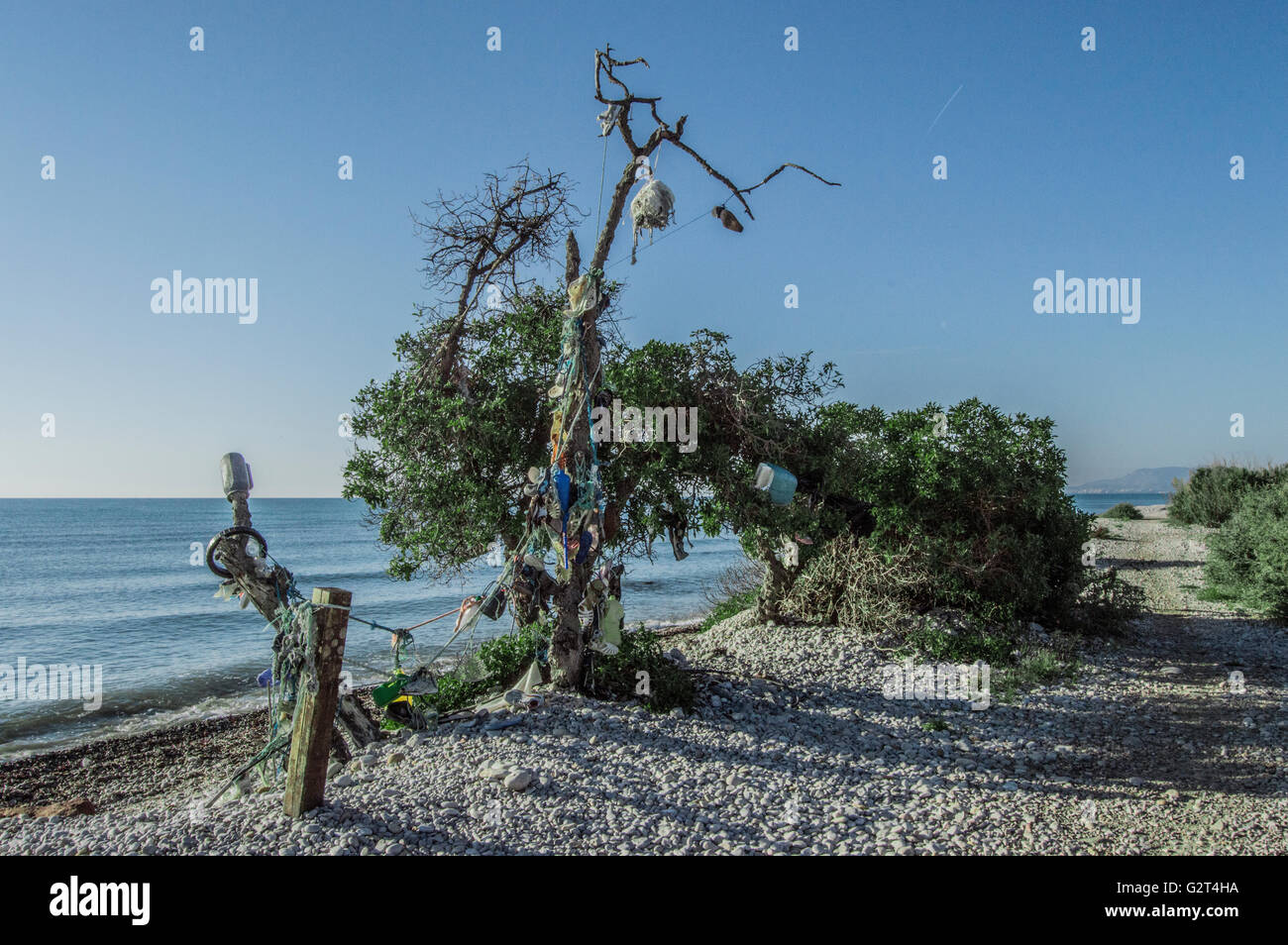 The tree of flipflops Stock Photo - Alamy