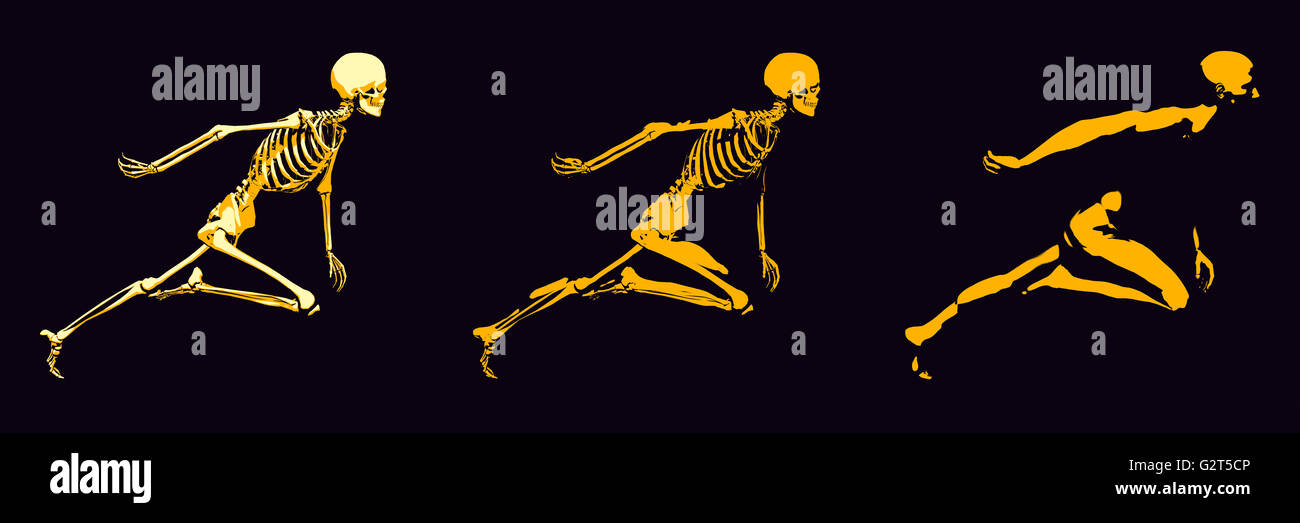 Transparent Human with Bone Structure in Movement Stock Photo - Alamy
