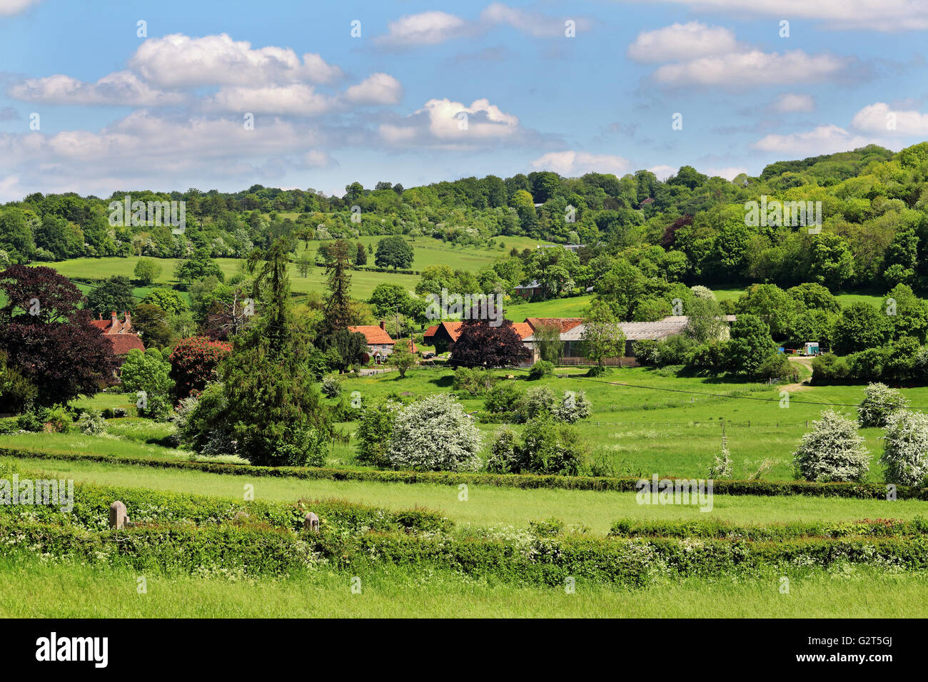 English Rural Landscape In Chiltern High Resolution Stock Photography ...