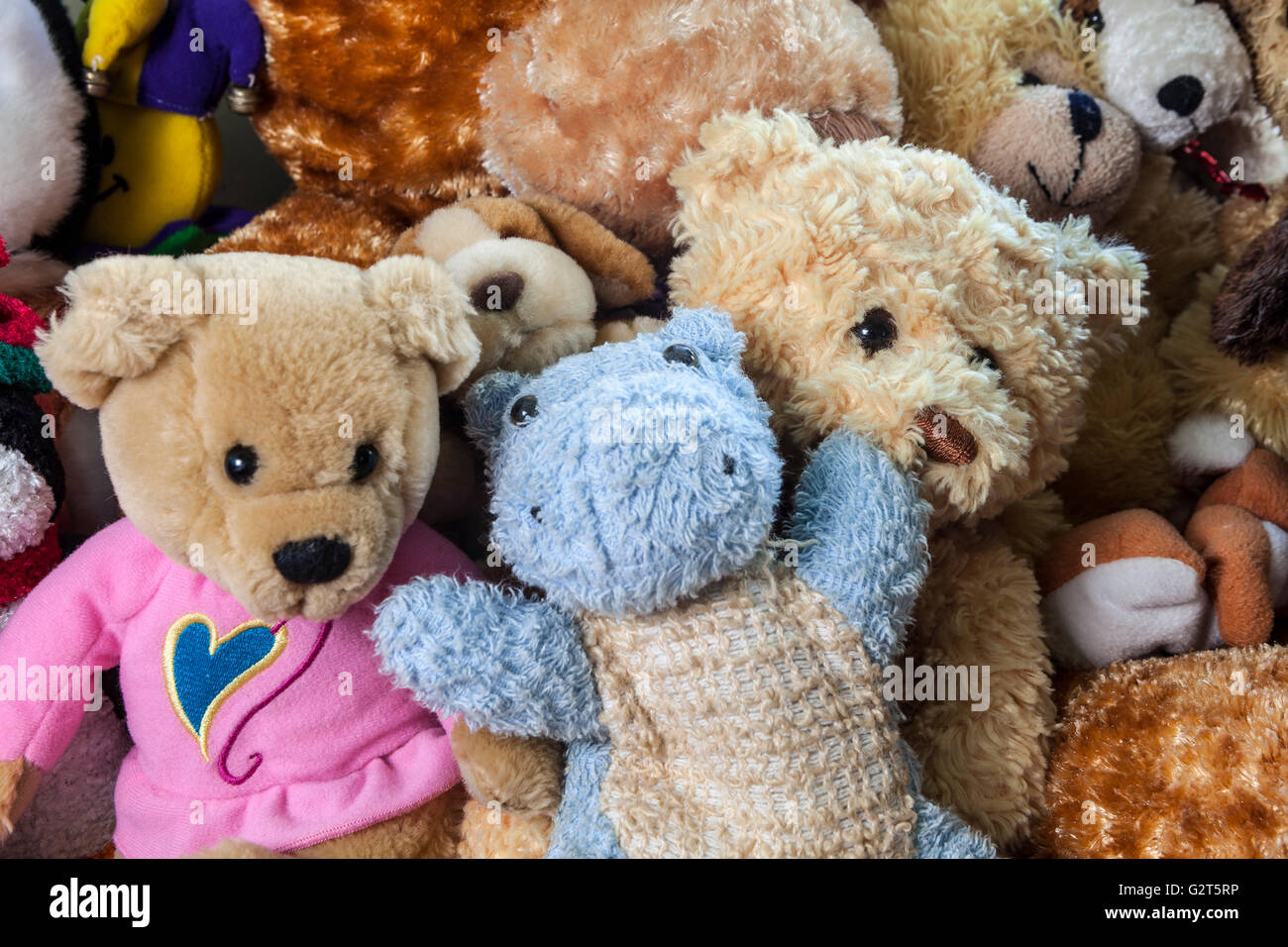 WA11690-00...WASHINGTON - Stuffed animals in a child's room Stock Photo ...