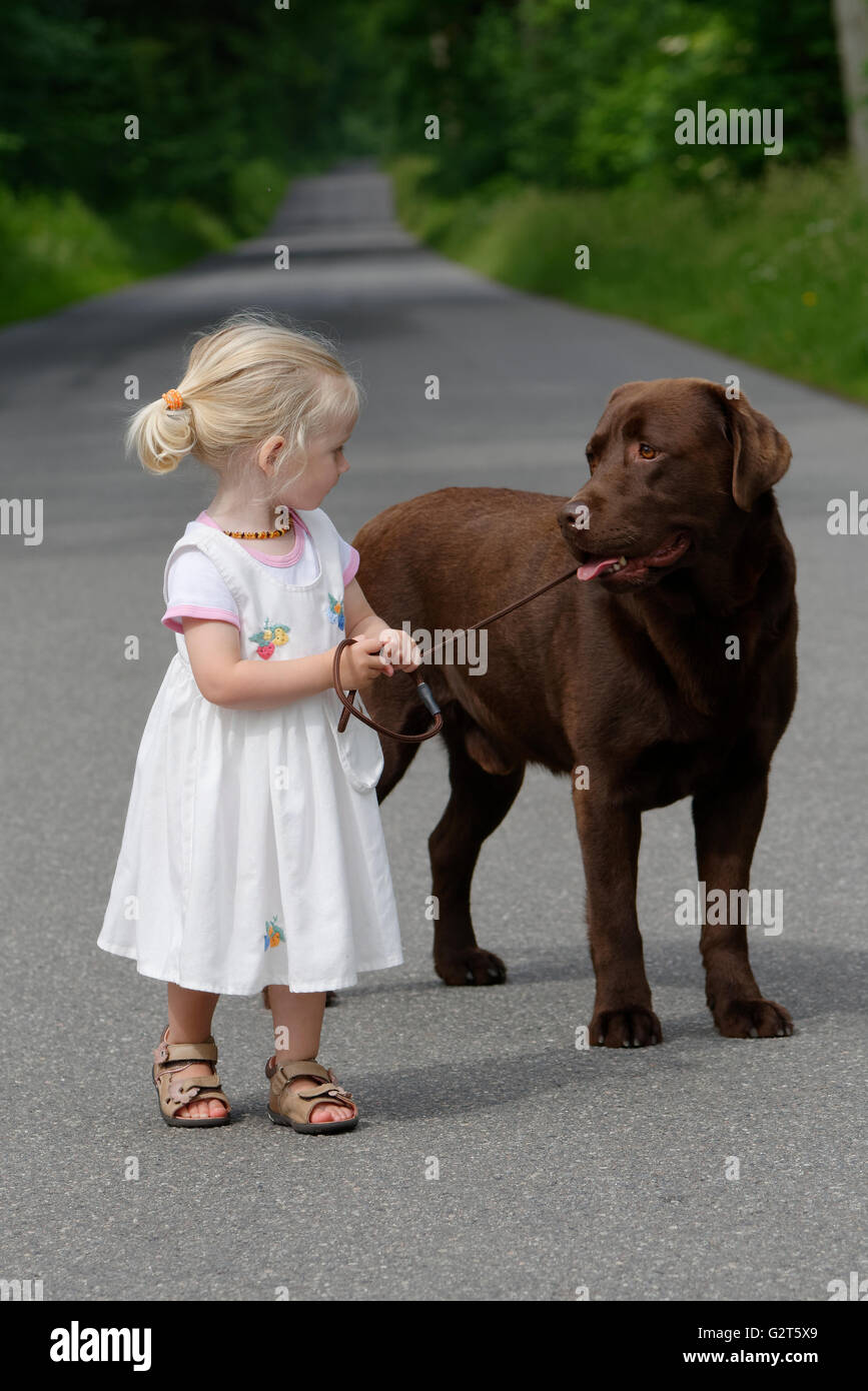 Girl walking her Labrador Retriever dog Stock Photo - Alamy