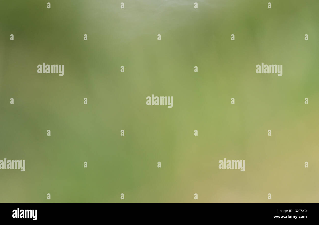 Blurry green background Stock Photo - Alamy