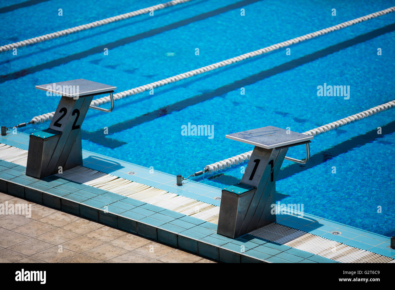 Empty olympic swimming pool with clear blue water and swimmer crawl ...