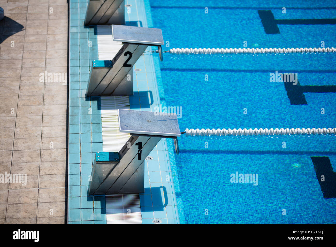 Empty olympic swimming pool with clear blue water and swimmer crawl ...