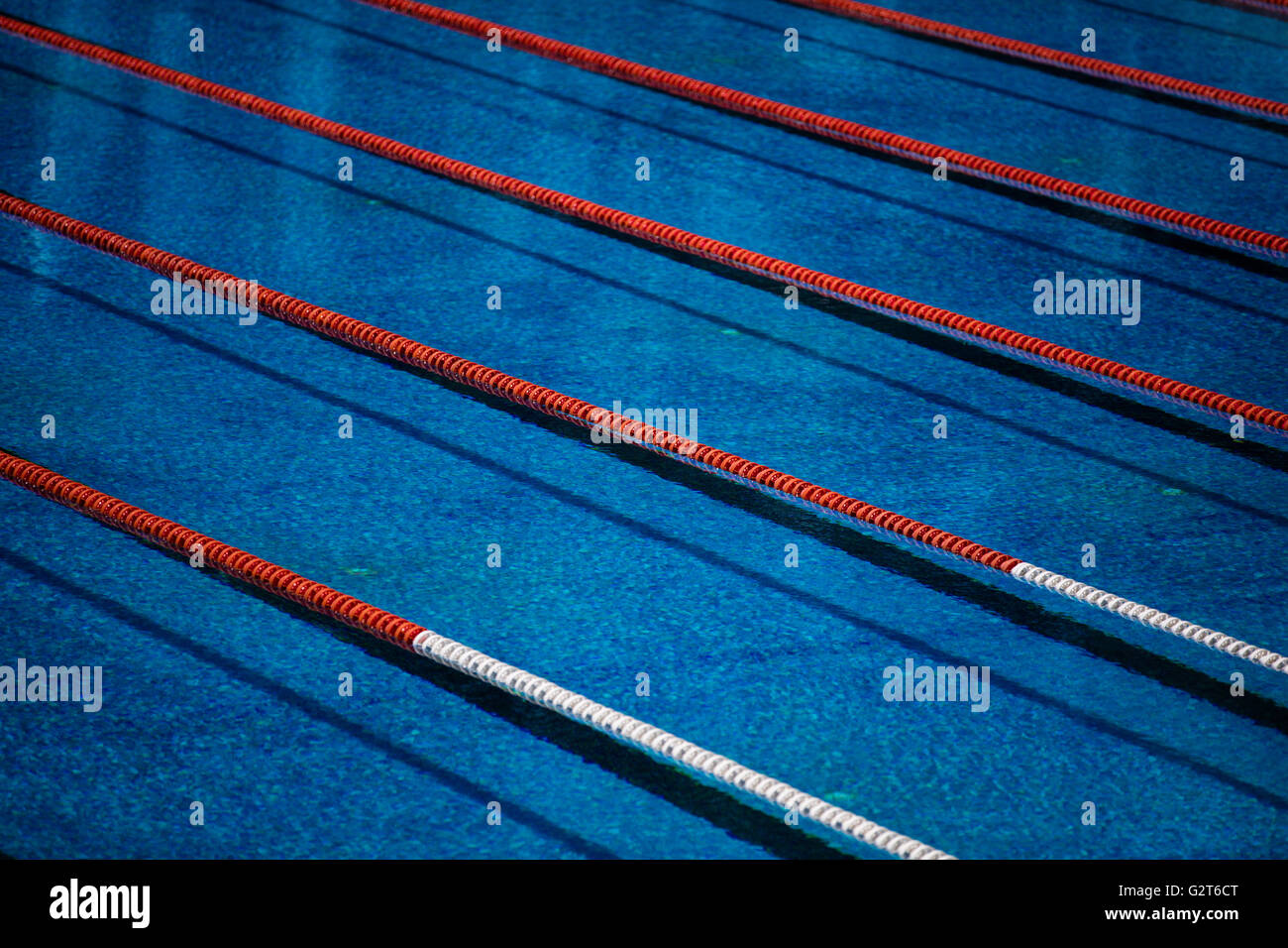 Empty olympic swimming pool with clear blue water and swimmer crawl ...