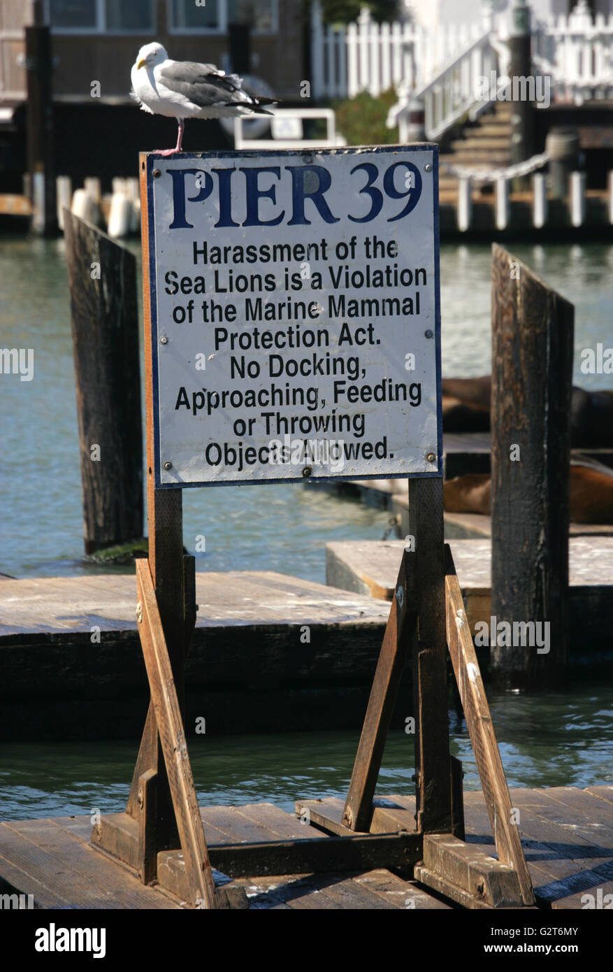 Sign protecting the California sea lions hauled out on floating docks ...