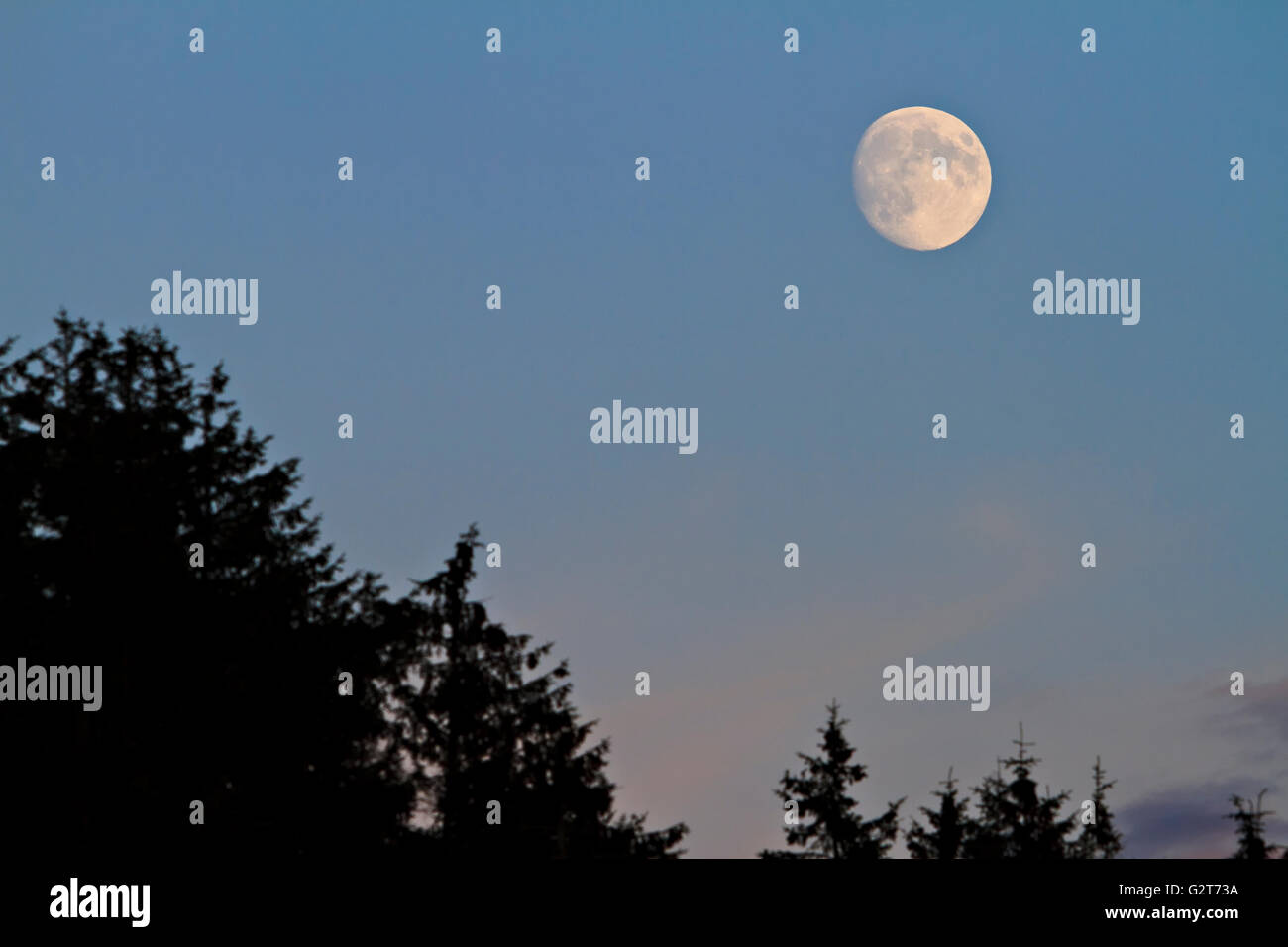 Full moon over Vancouver Island North, British Columbia, Canada Stock ...