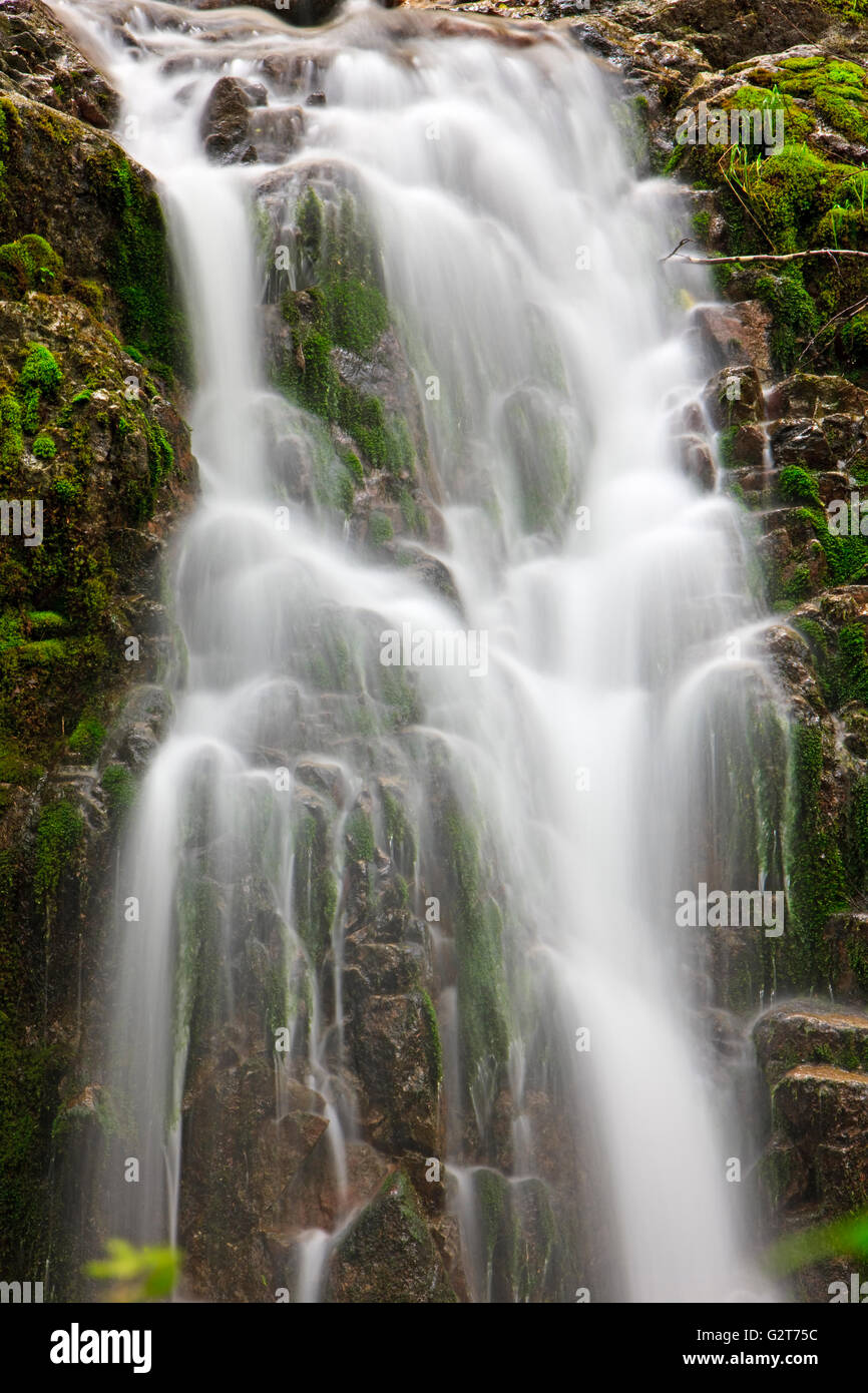 Waterfall in the rainforest near Port Alice, Northern Vancouver Island ...