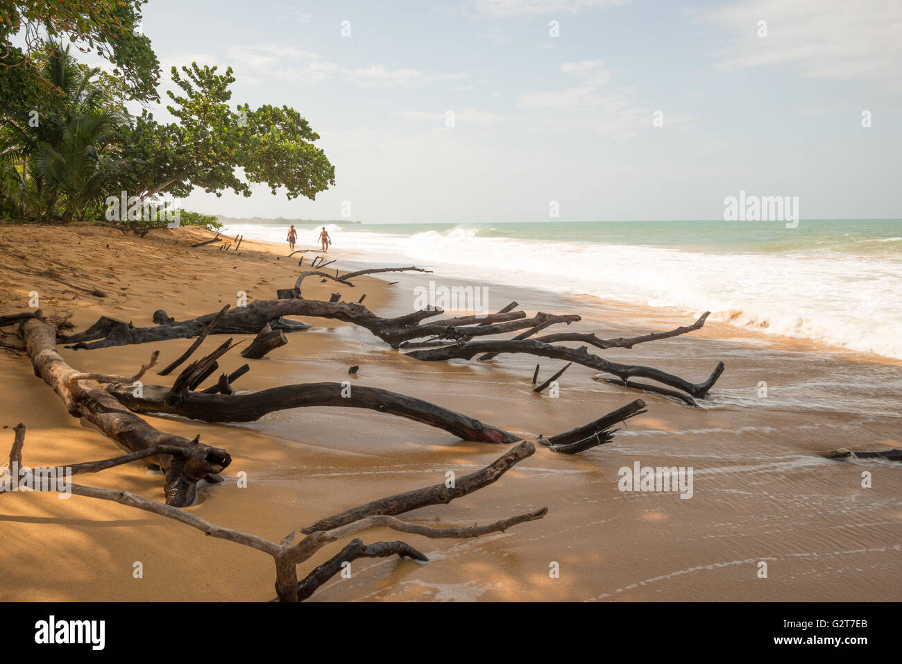 Playa Bluff in Bocas Del Toro Stock Photo - Alamy