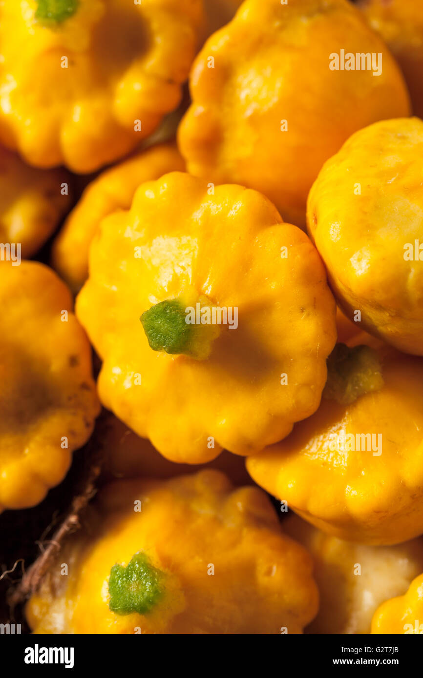 Raw Organic Yellow Pattypan Squash Ready for Cooking Stock Photo - Alamy