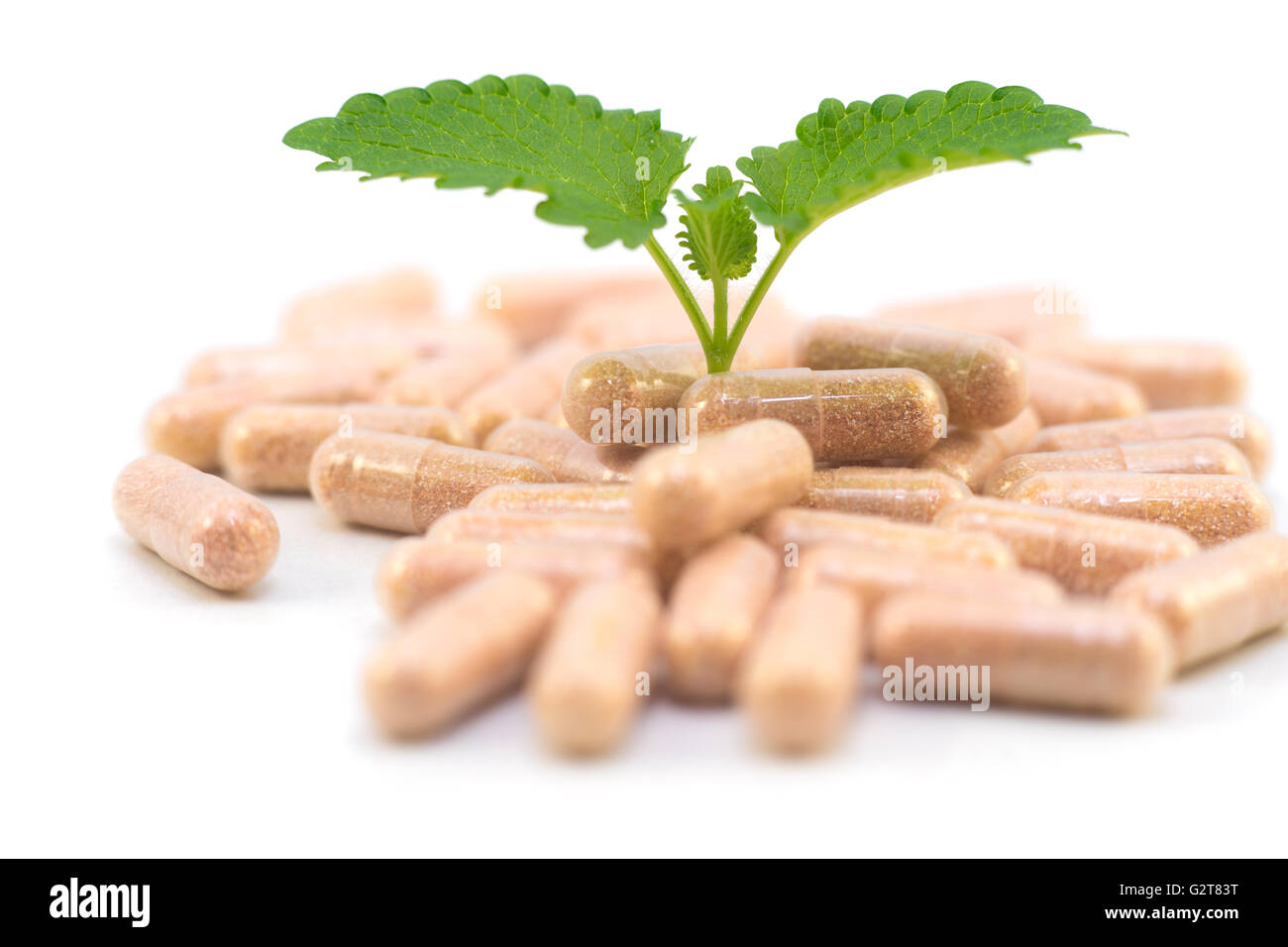 Bio herb capsules with green plant on isolated Stock Photo - Alamy