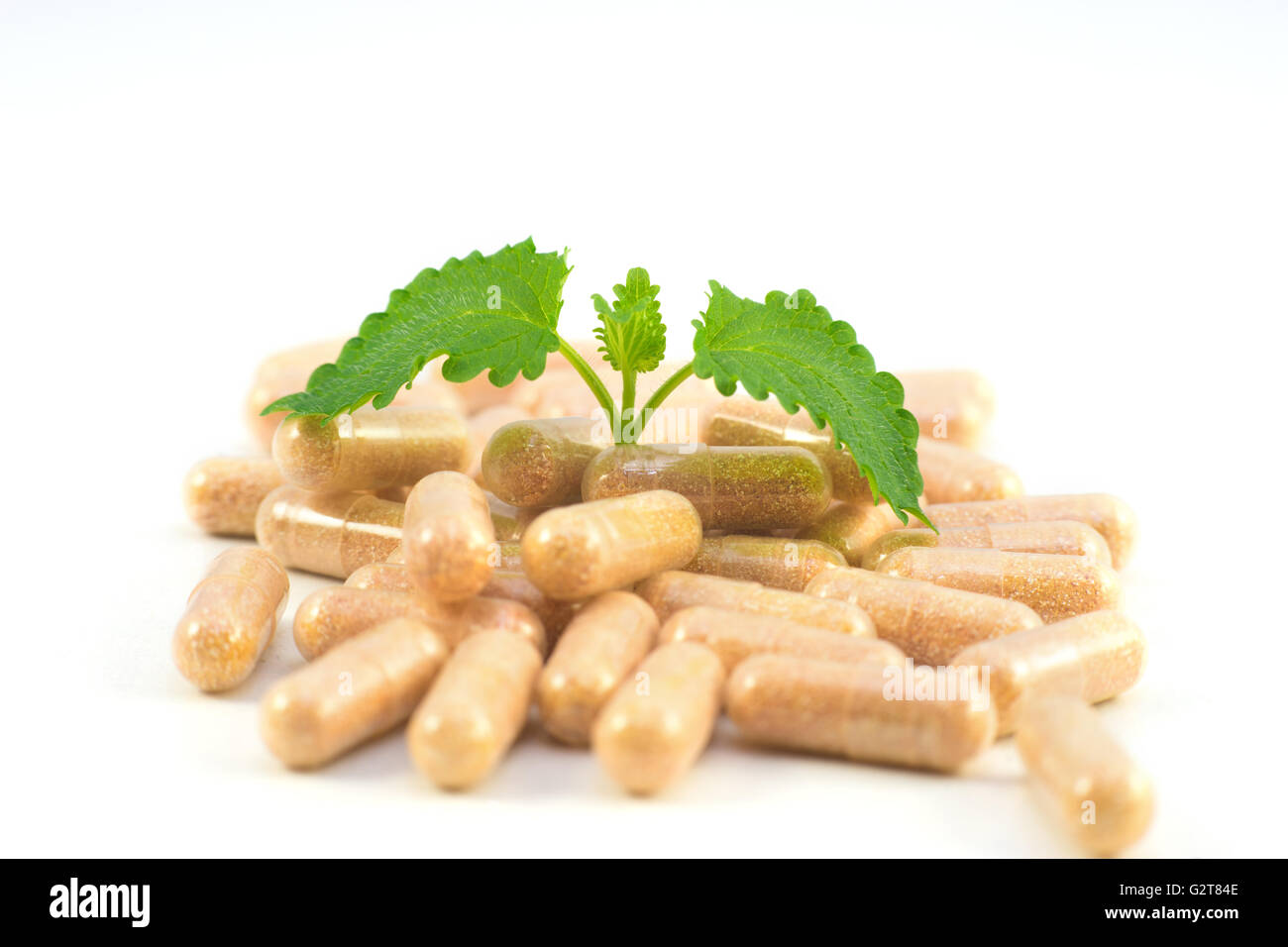 Bio herb capsules with green plant on isolated Stock Photo - Alamy
