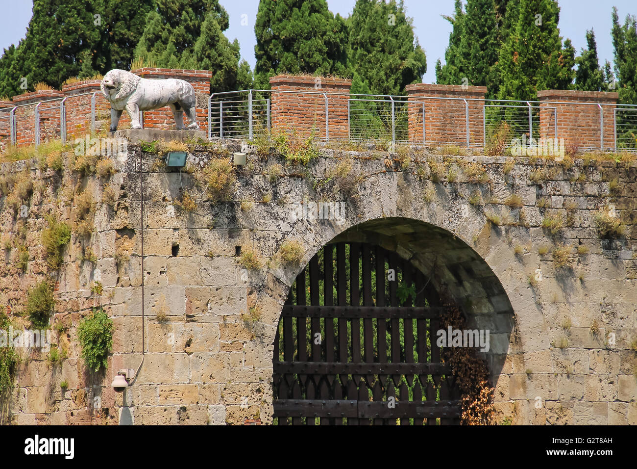 Antique fortified wall and gate with statue of lion. Pisa, Italy Stock ...