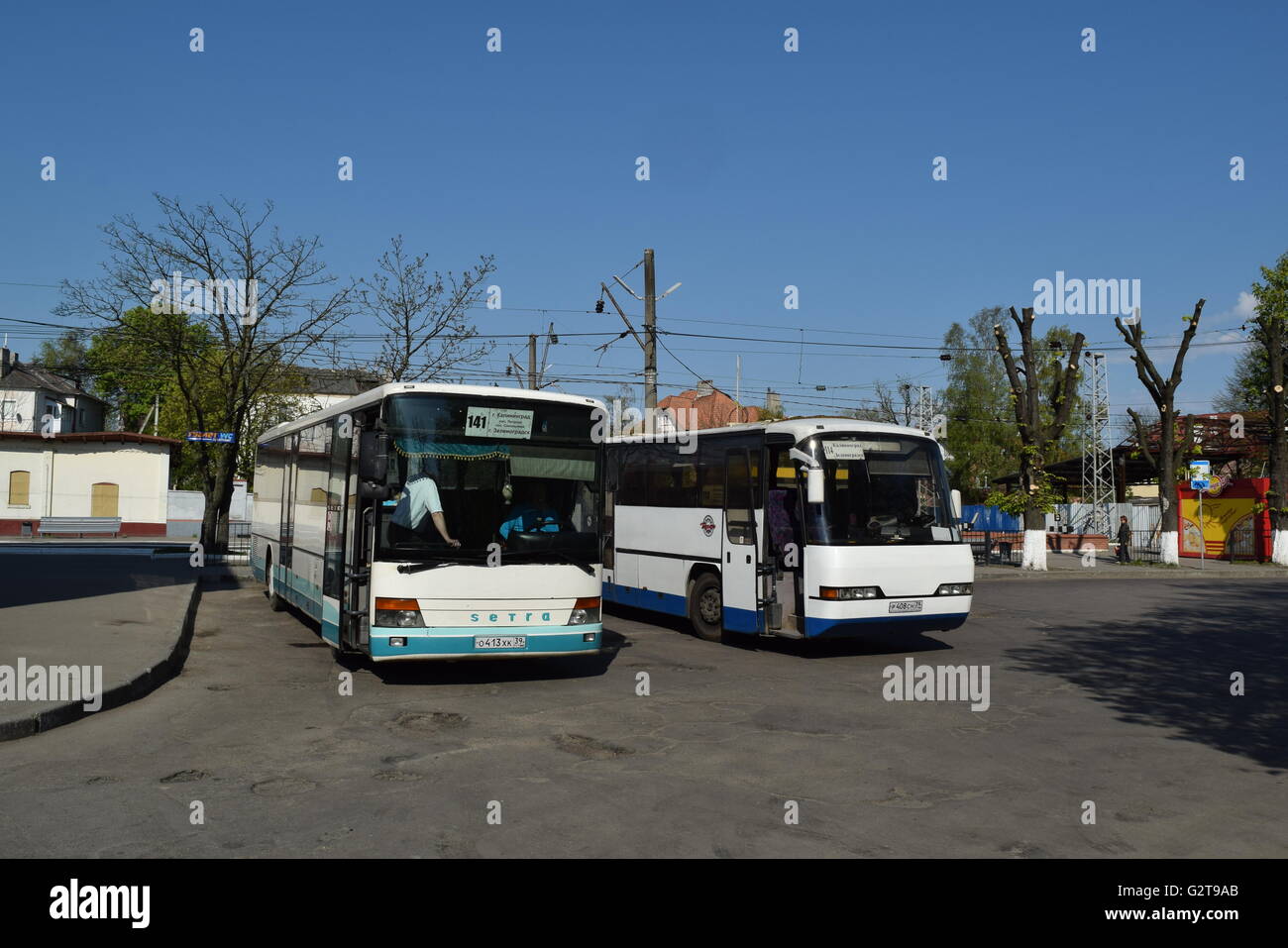 Suburban bus service in Kaliningrad Region. Zelenogradsk local bus ...