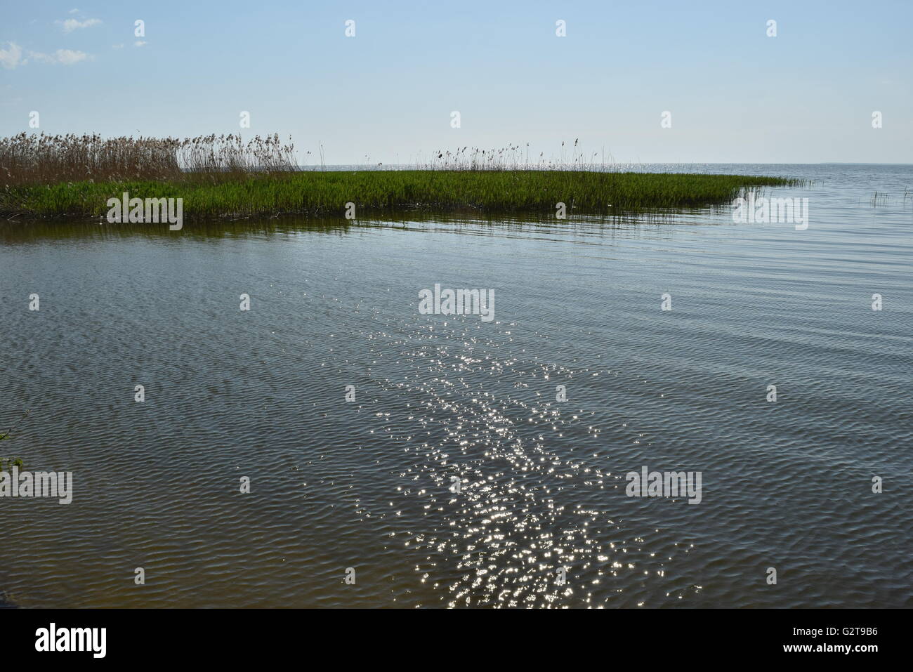 The Curonian Spit. View to the Curonian Gulf Stock Photo - Alamy