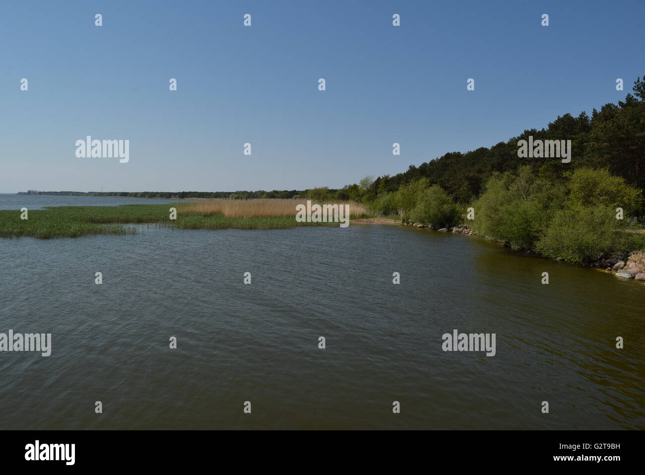 The Curonian Spit. View to the Curonian Gulf Stock Photo - Alamy
