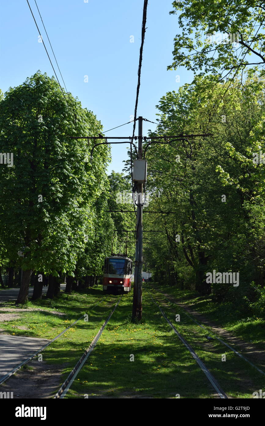 Tram view of Kaliningrad: modern state of the westernmost tramway in ...