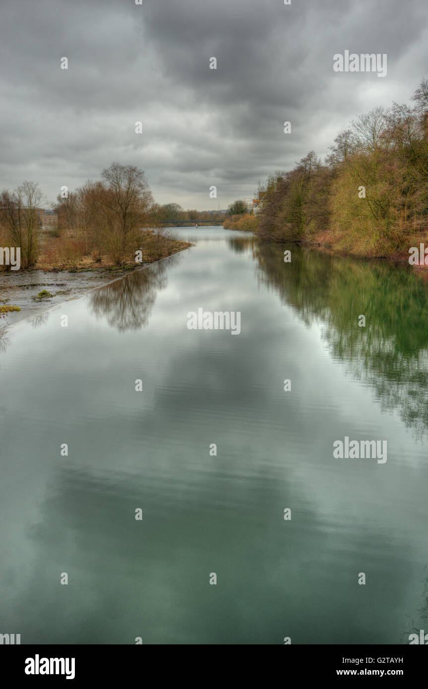Trees and river Stock Photo - Alamy