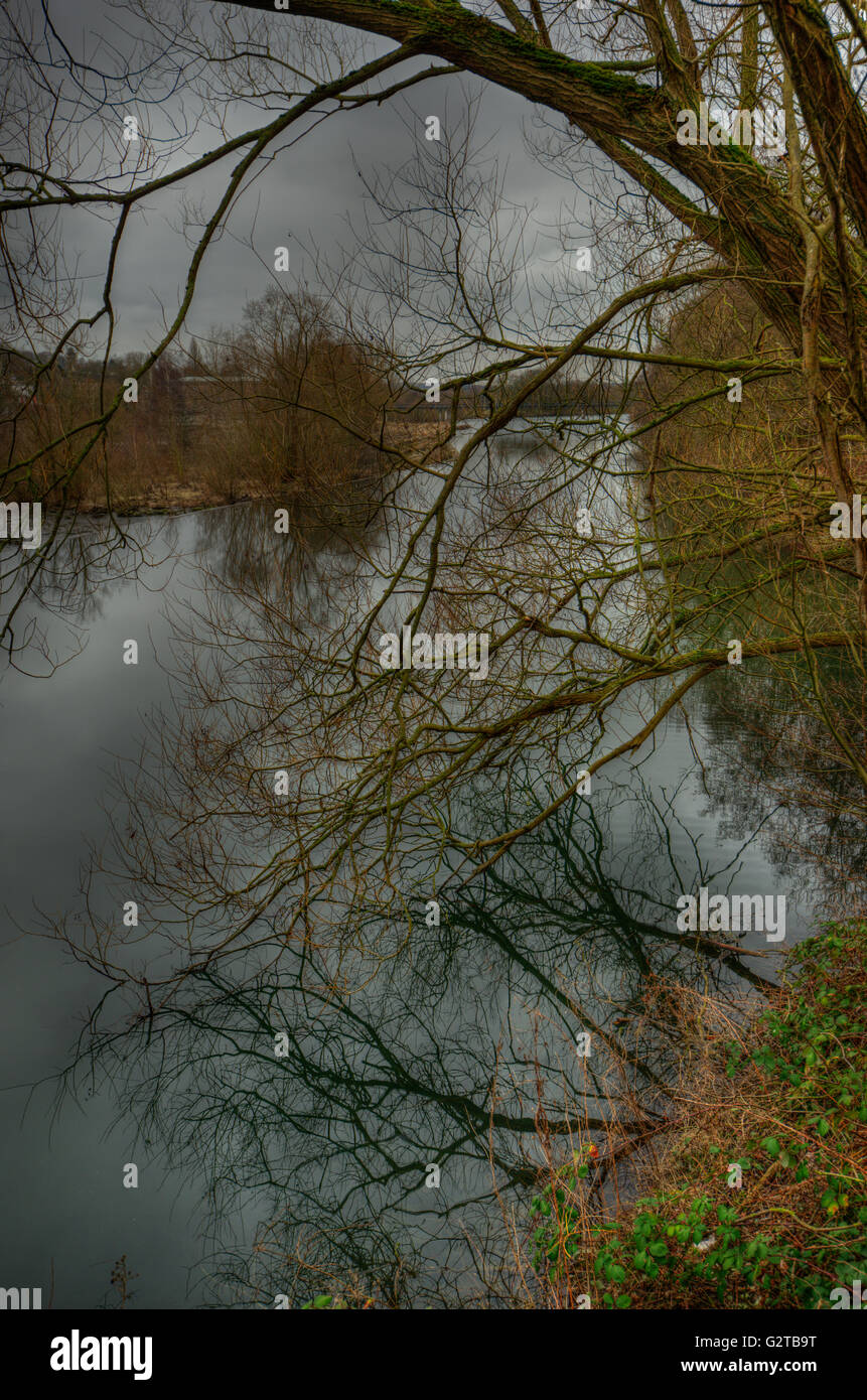 Trees and river Stock Photo - Alamy