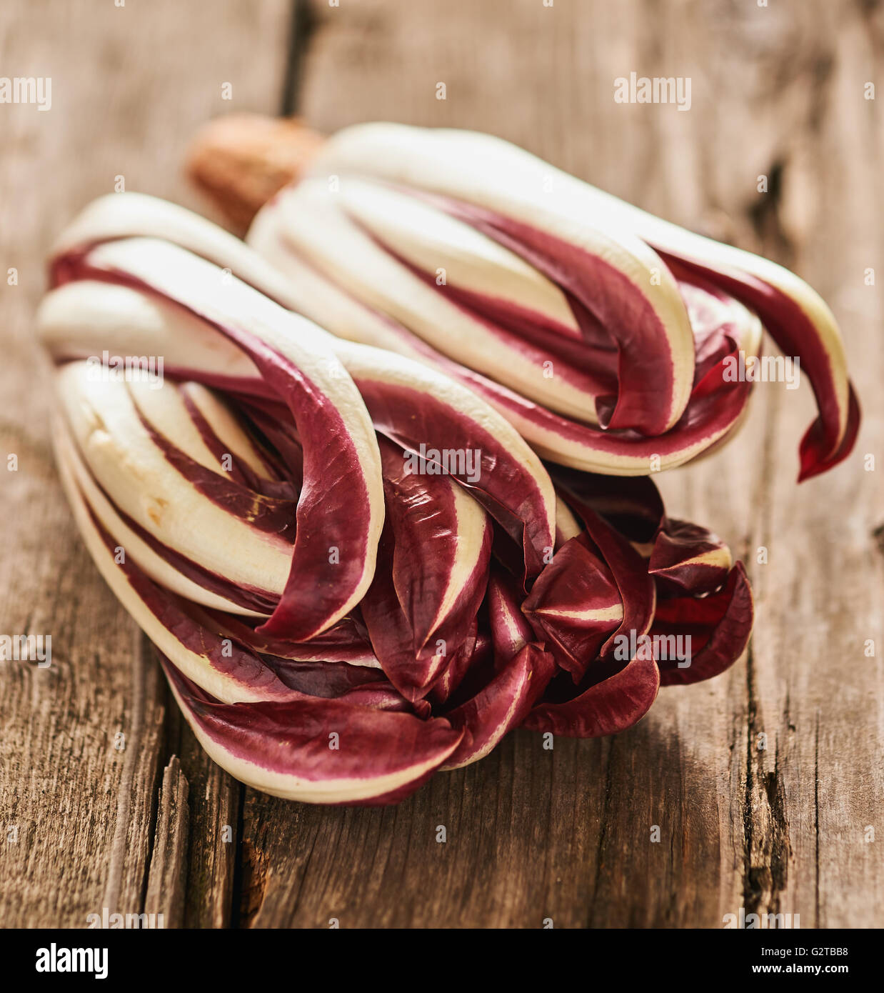 Treviso salad hi-res stock photography and images - Alamy