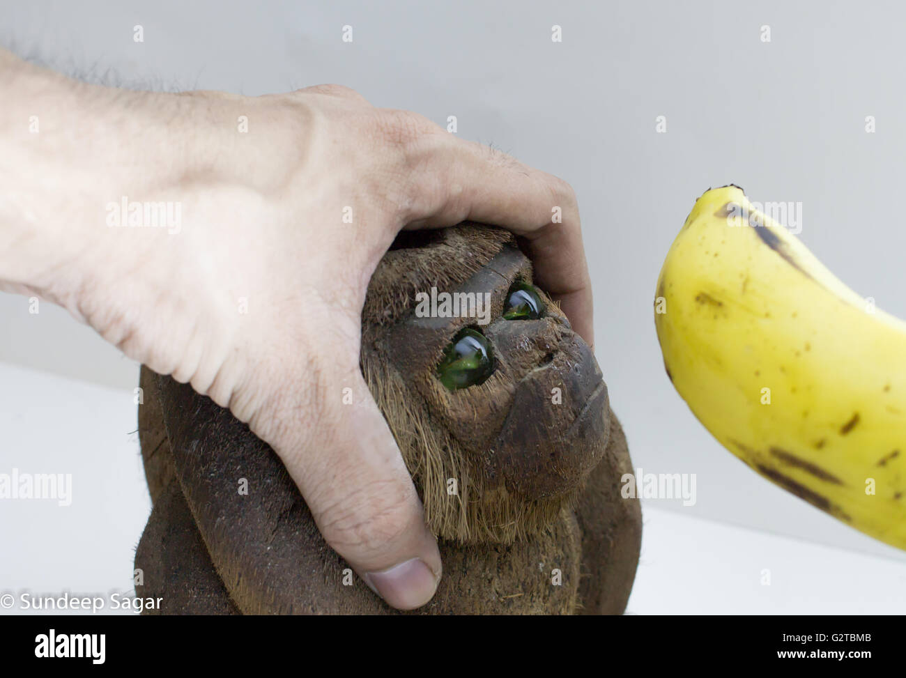 Monkey banana hi-res stock photography and images - Alamy