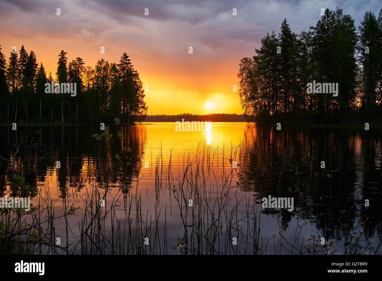 Beautiful sunset over a Finnish lake in summer Stock Photo - Alamy
