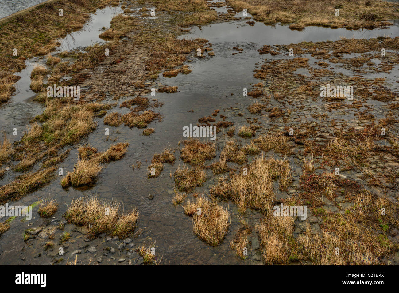 river flood plain Stock Photo - Alamy