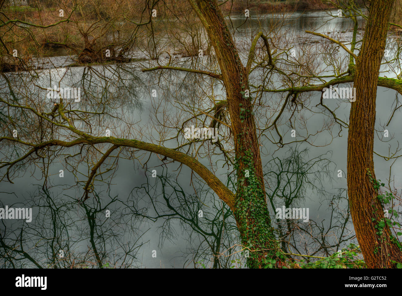 Trees and river Stock Photo - Alamy