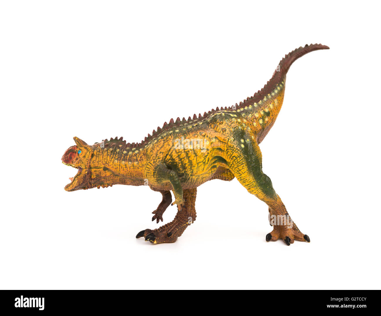 side view brown carnotaurus toy on a white background Stock Photo - Alamy