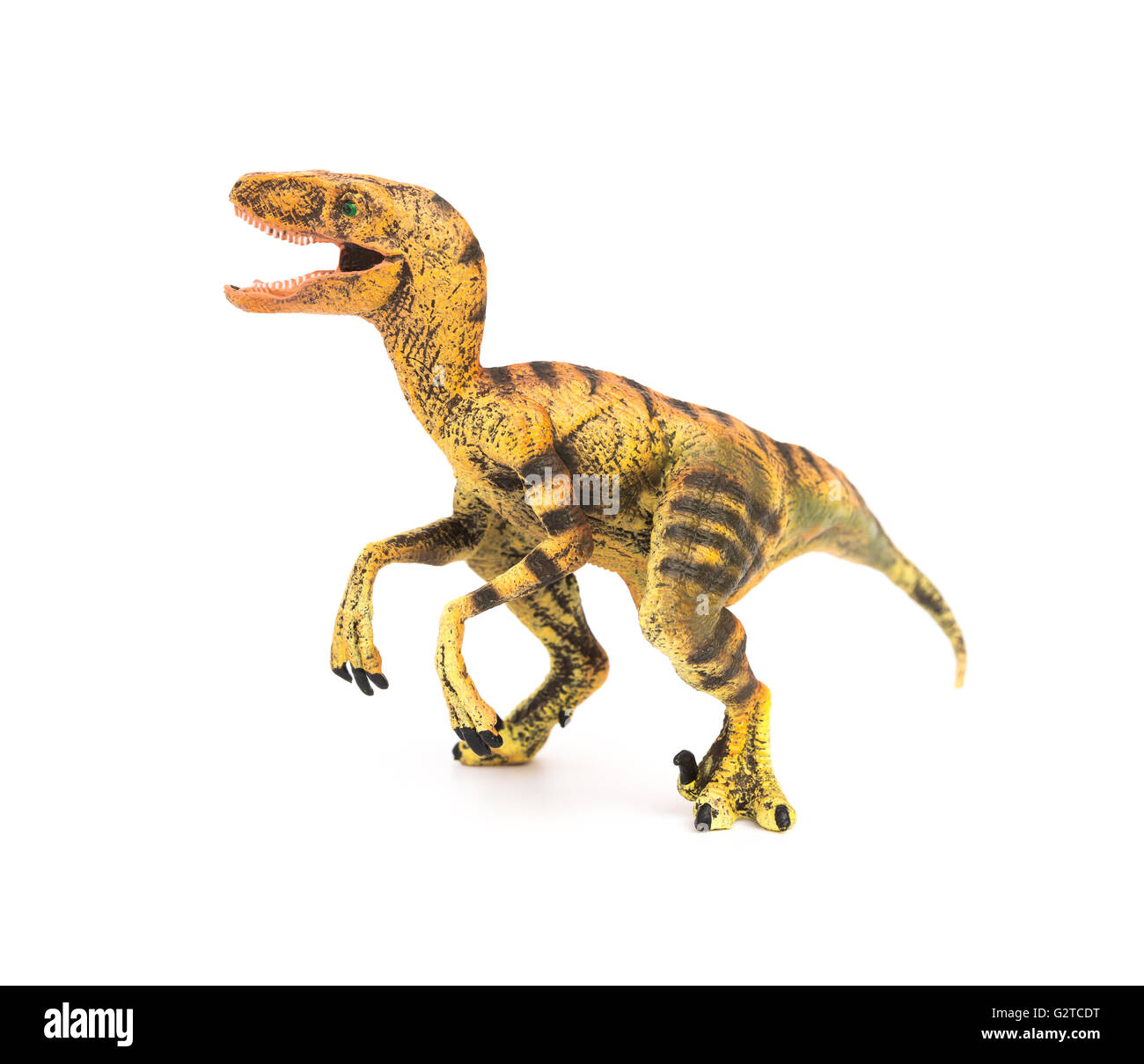 side view yellow velociraptor toy on a white background Stock Photo - Alamy