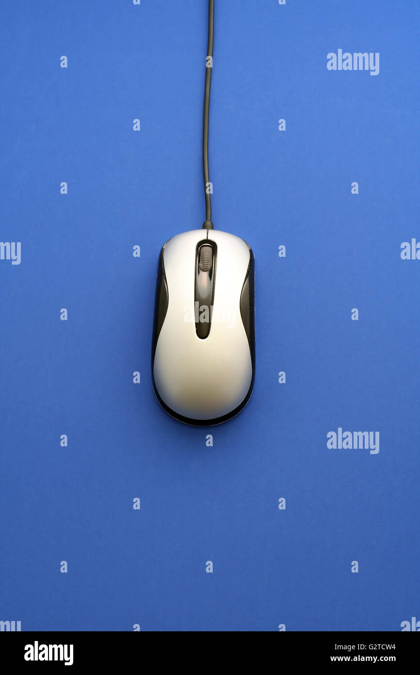 Mouse in blue background Stock Photo - Alamy