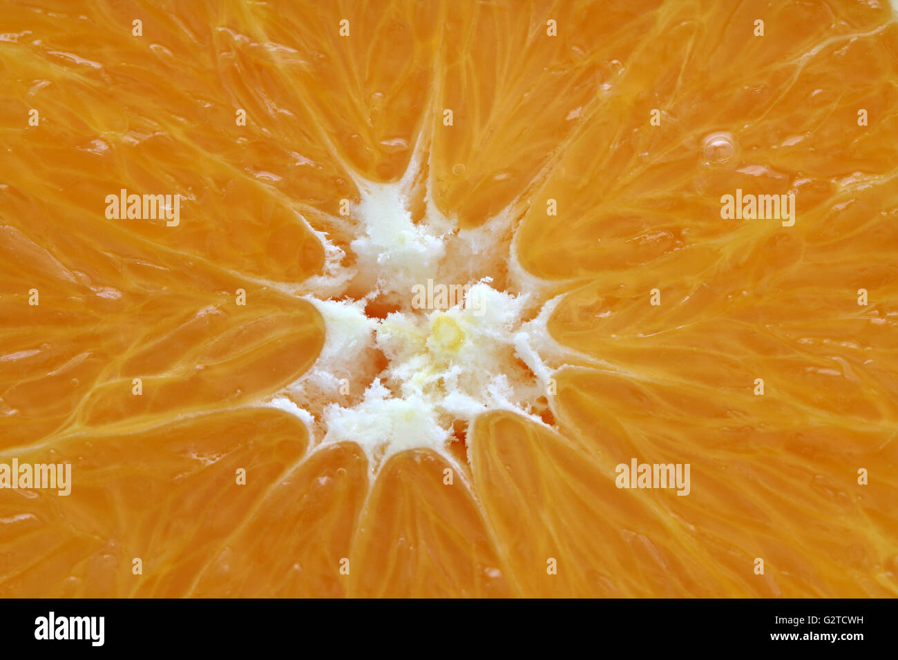 Close up sliced orange Stock Photo - Alamy