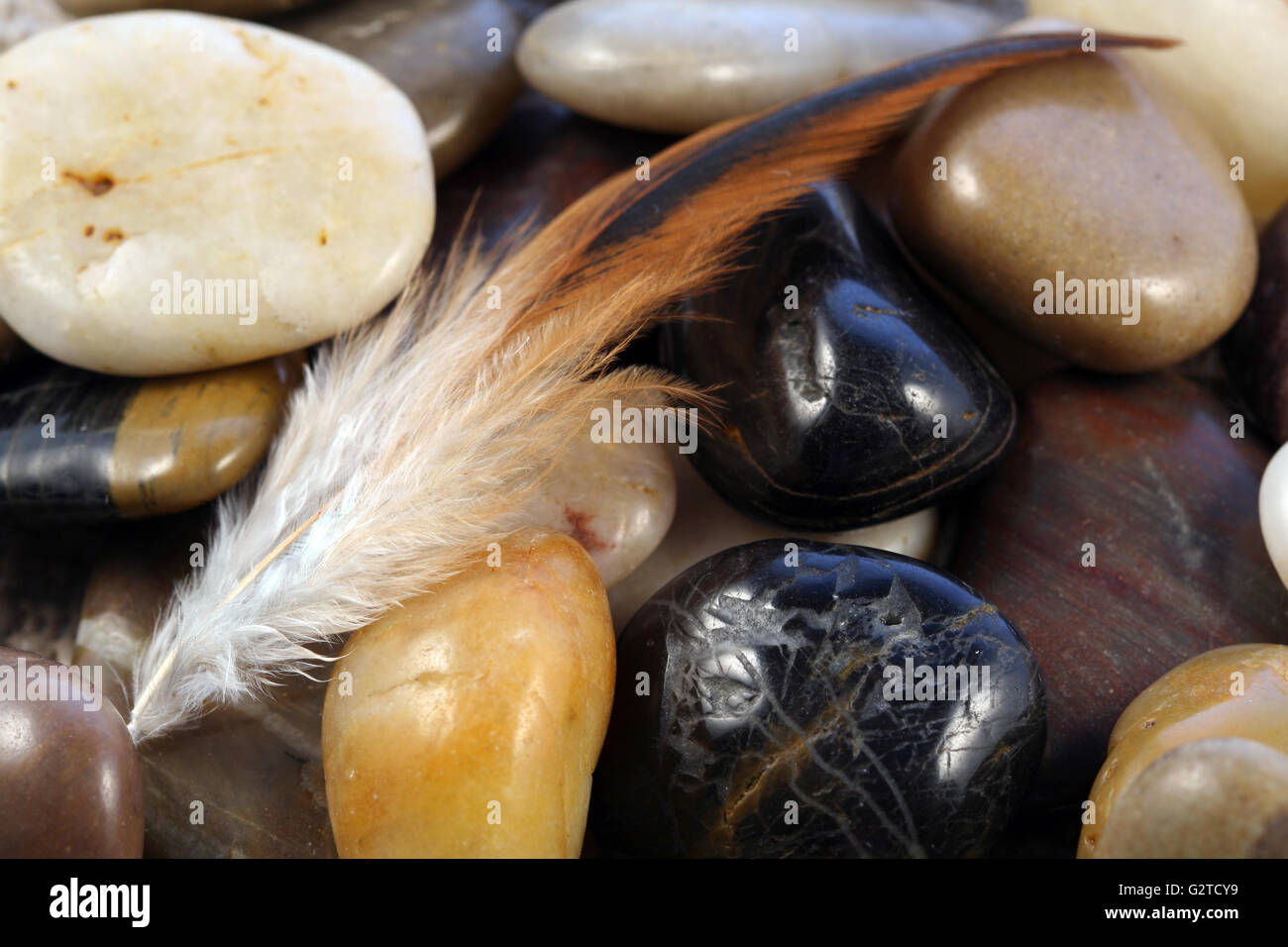 A feather on stones Stock Photo - Alamy