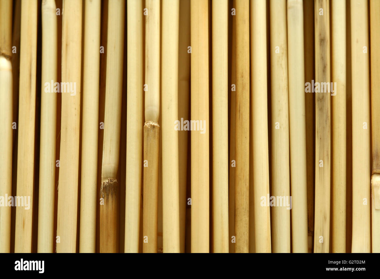 Bamboo vertical pattern, suitable for background Stock Photo - Alamy
