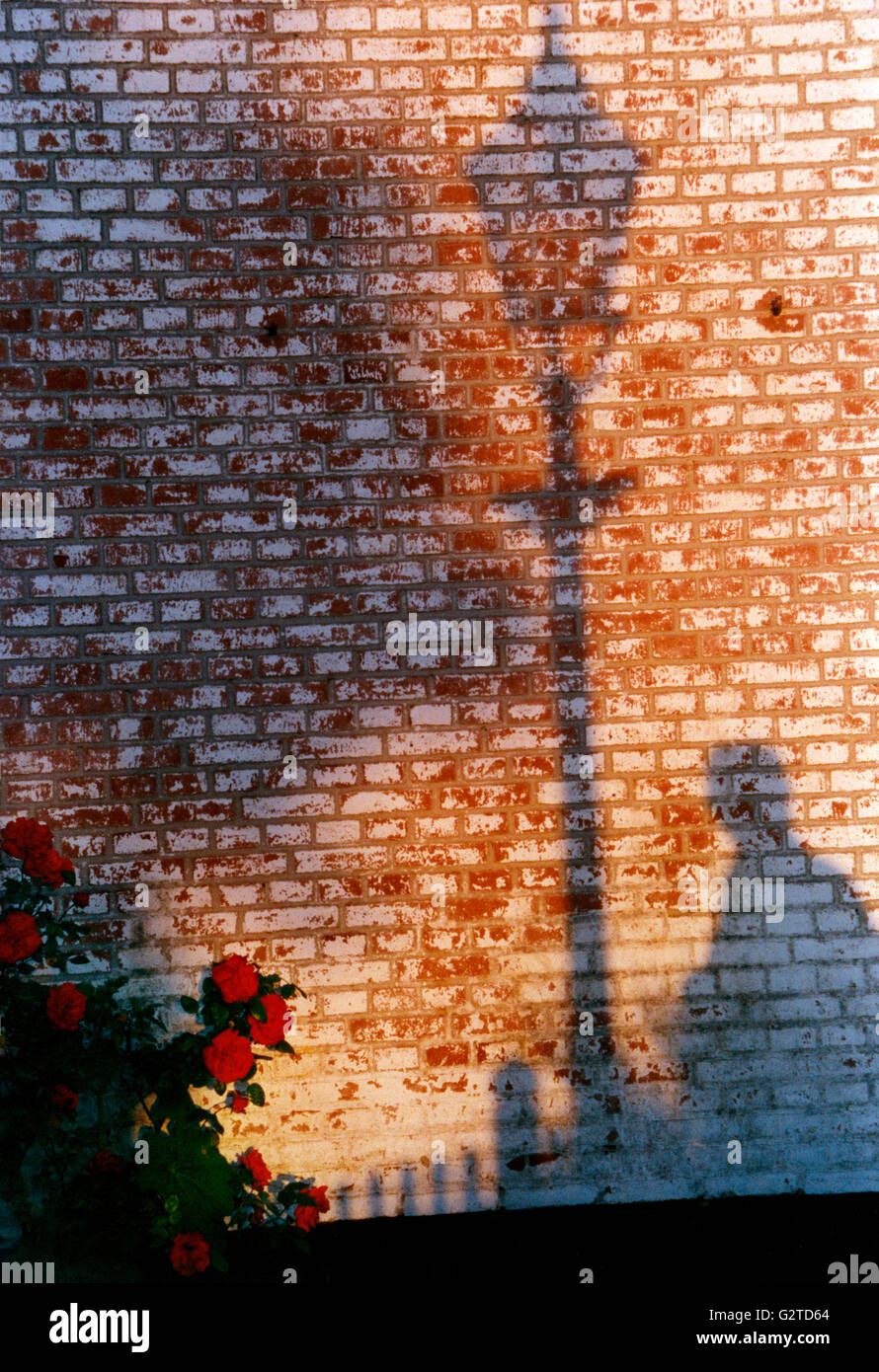 Shadows on the brick wall Stock Photo - Alamy